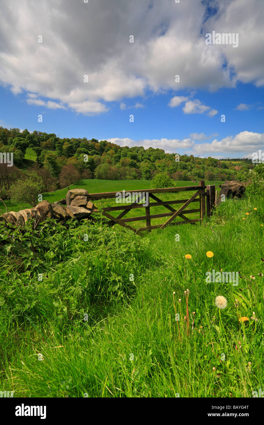 Thurgoland hi-res stock photography and images - Alamy