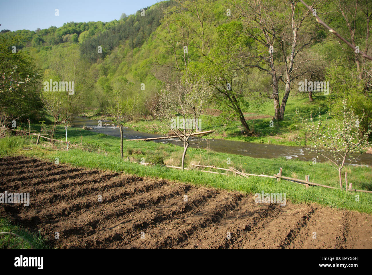 Field stream farm hi-res stock photography and images - Alamy