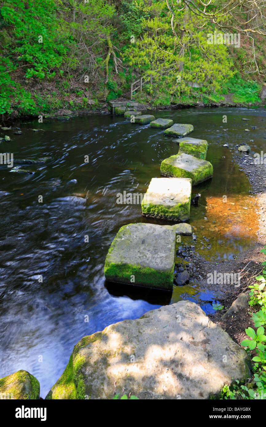 Stepping stones across the River Don at Thurgoland, Barnsley, South ...