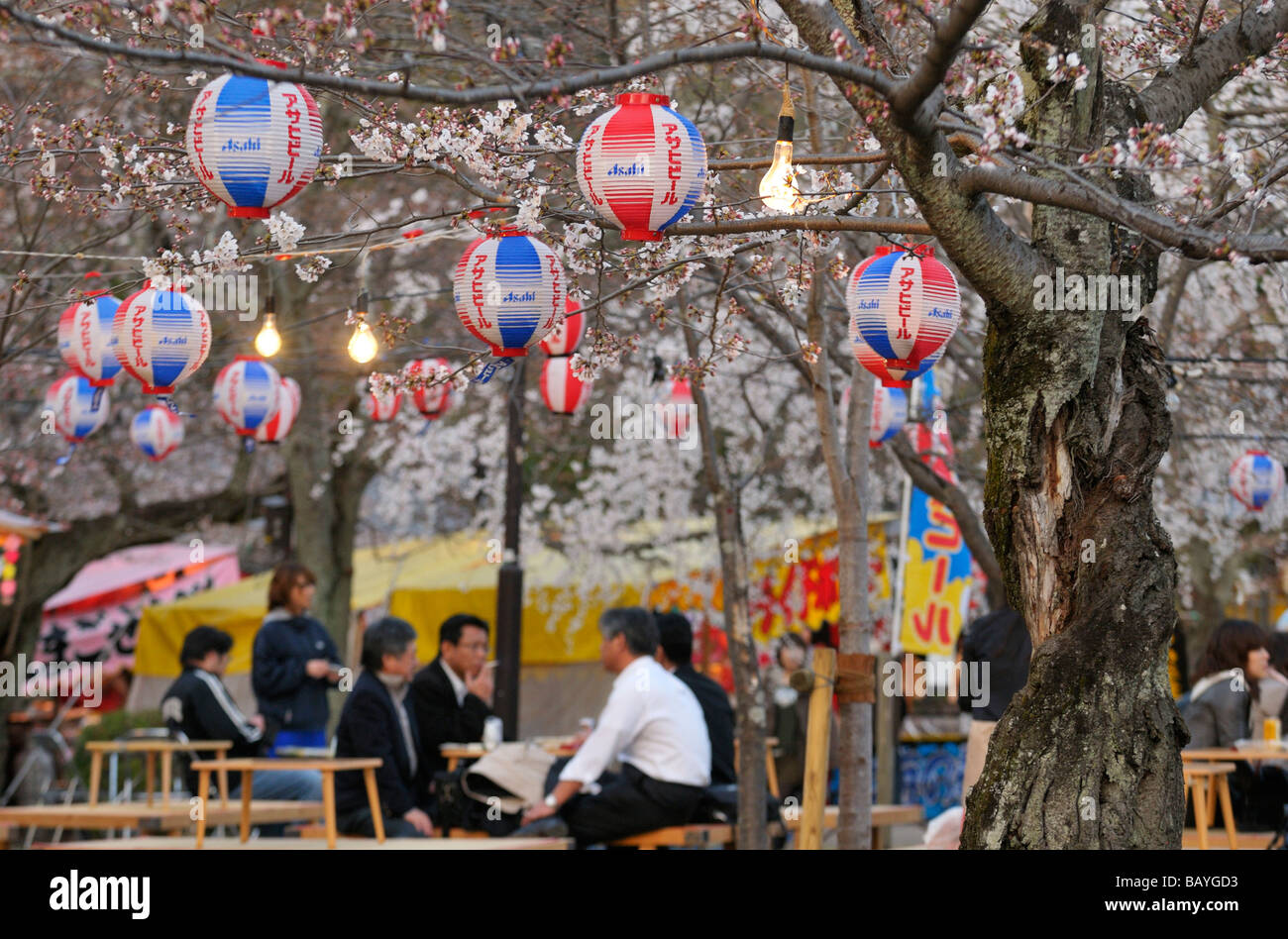 Hanging lanterns for the hanami festival hi-res stock photography and ...