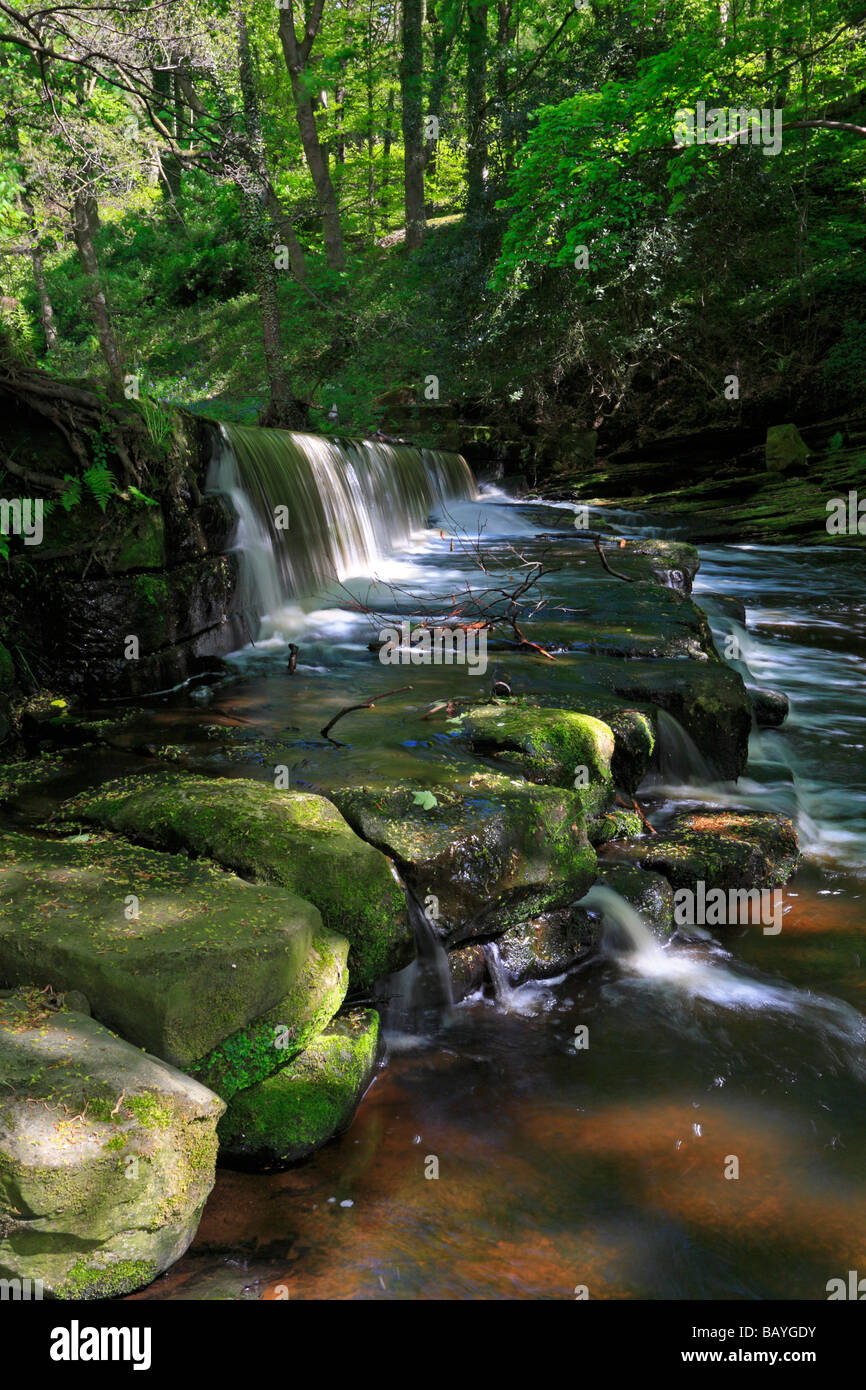 Wier hi-res stock photography and images - Alamy