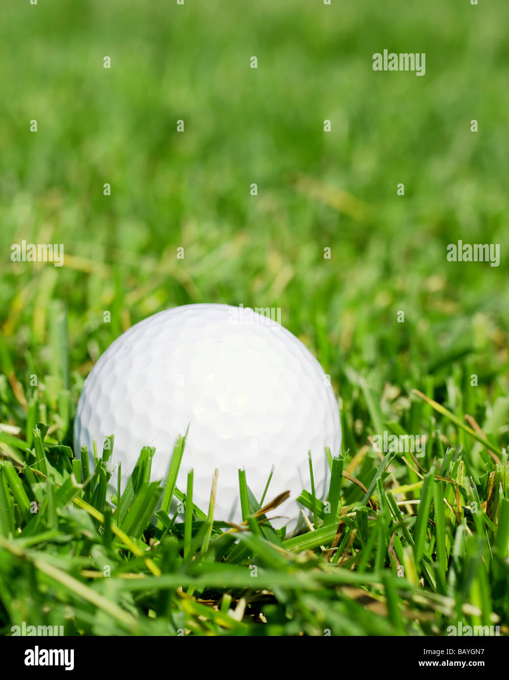 Golf ball on the fairway Stock Photo - Alamy