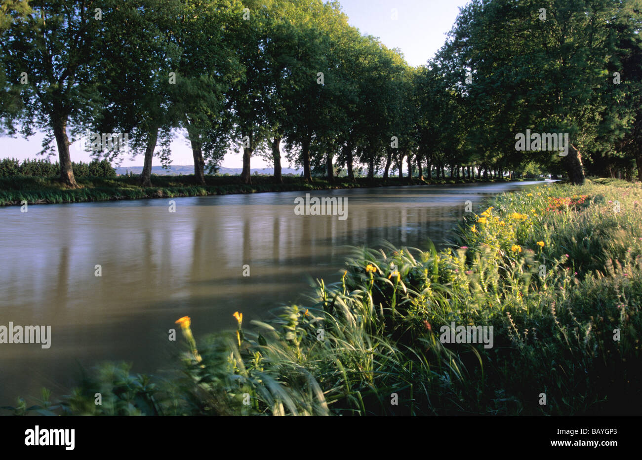 Canal du Midi near le Somail Languedoc France Stock Photo - Alamy