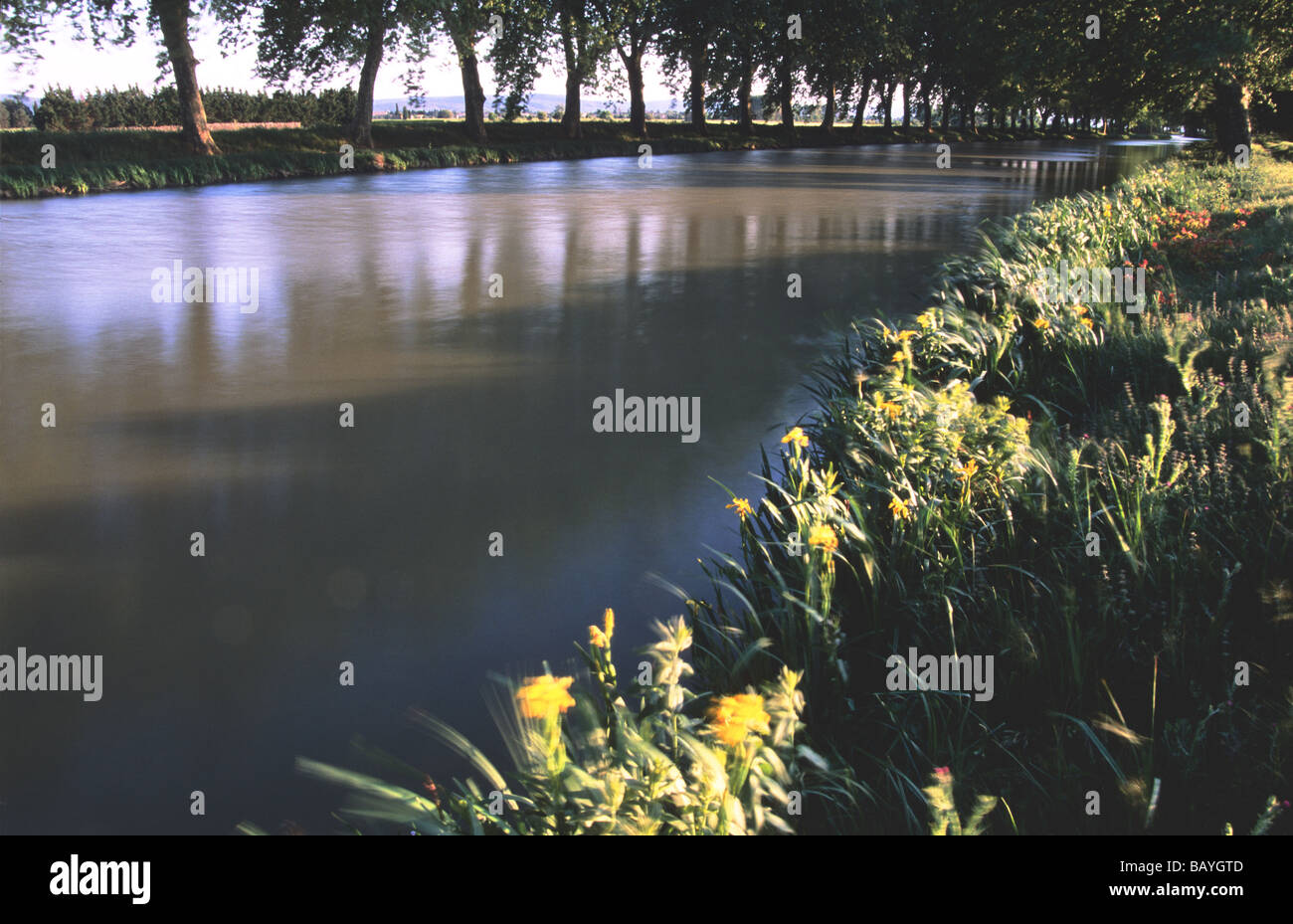Canal du Midi near le Somail Languedoc France Stock Photo - Alamy
