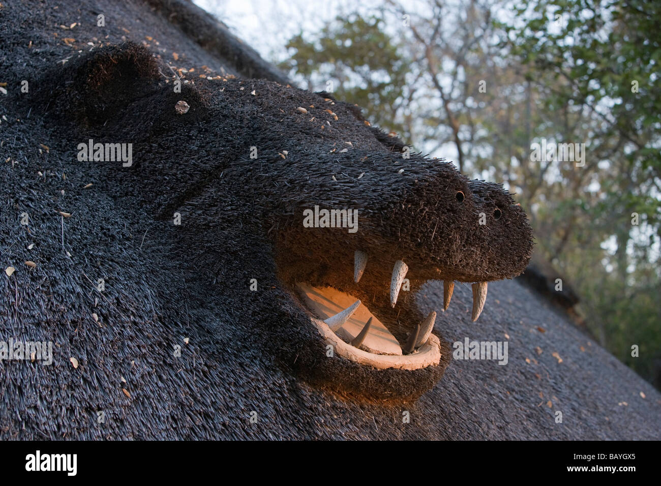 Thatched roof animal hi-res stock photography and images - Alamy