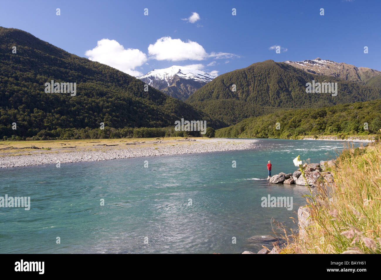 Makarora River Aspiring National Park South Island New Zealand Stock ...