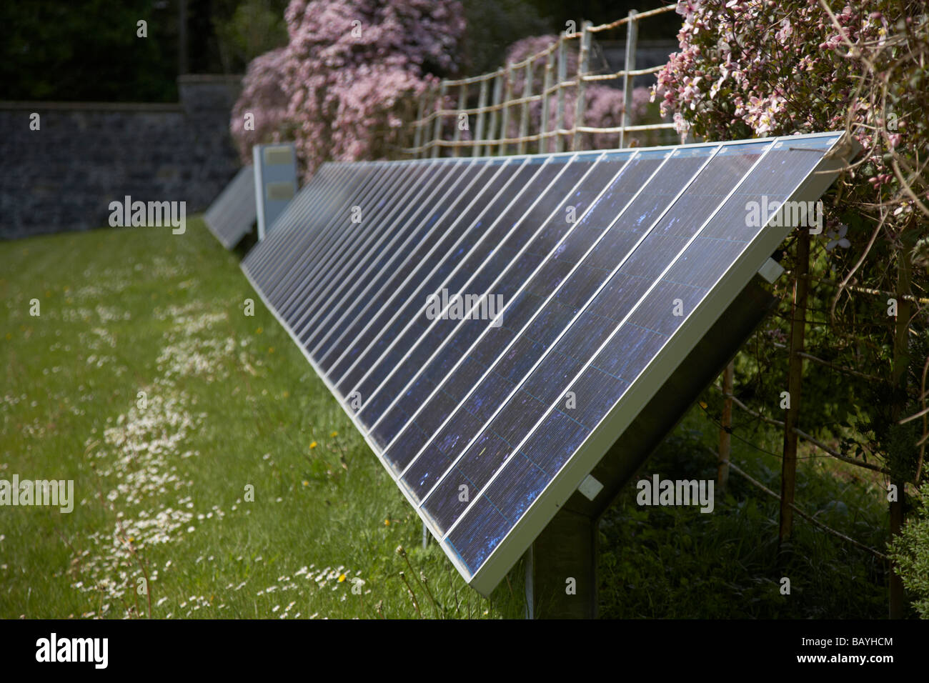 sun shining down on a arrays of blue tinted polycrystalline silicon ...