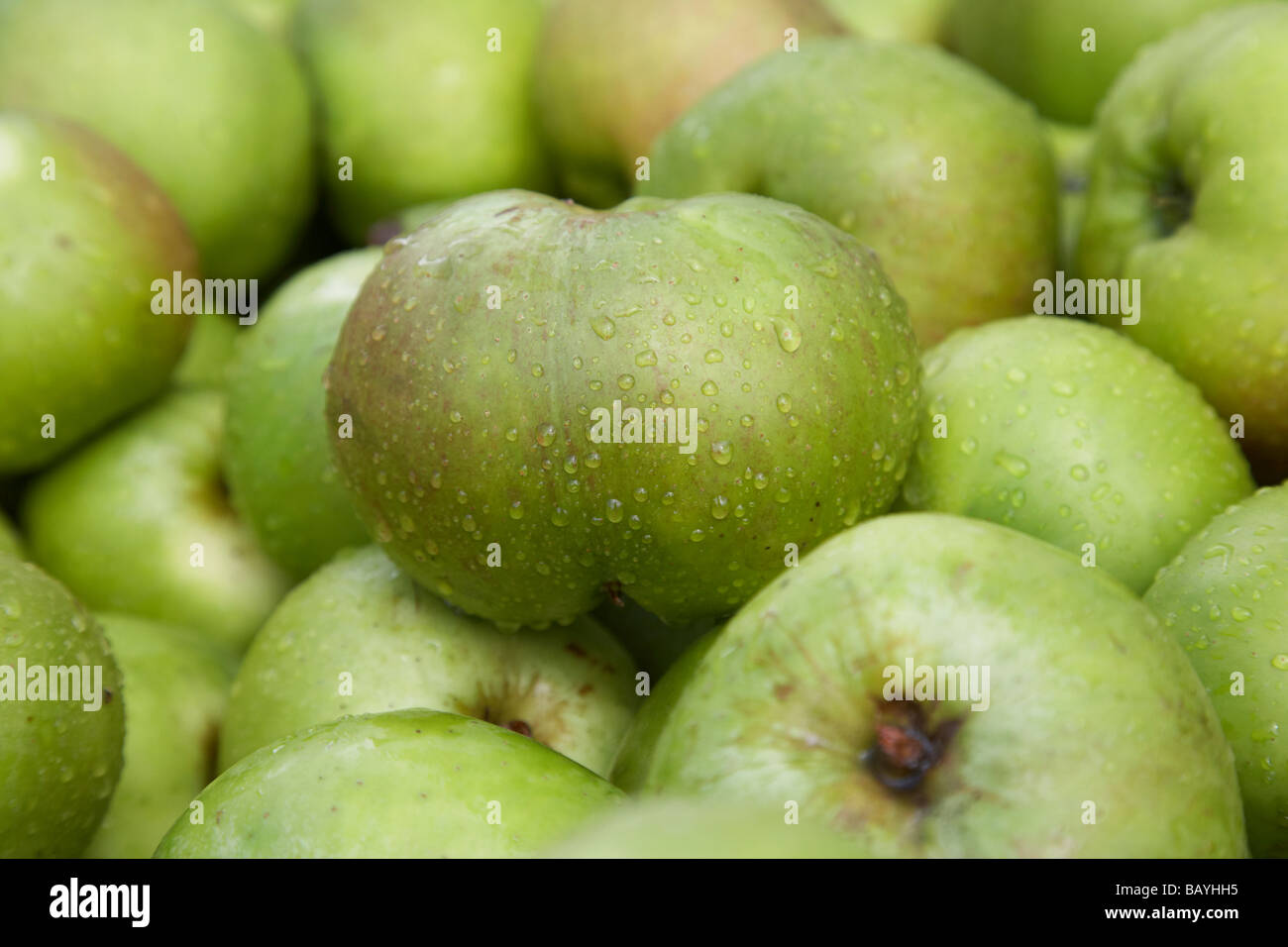 British apple varieties hi-res stock photography and images - Alamy