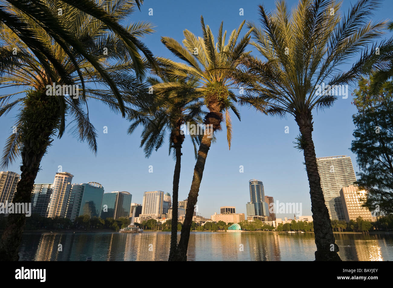Downtown Orlando Florida skyline reflected in Lake Eola Stock Photo - Alamy