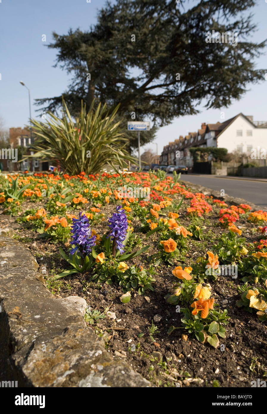 flower bed by road Stock Photo - Alamy