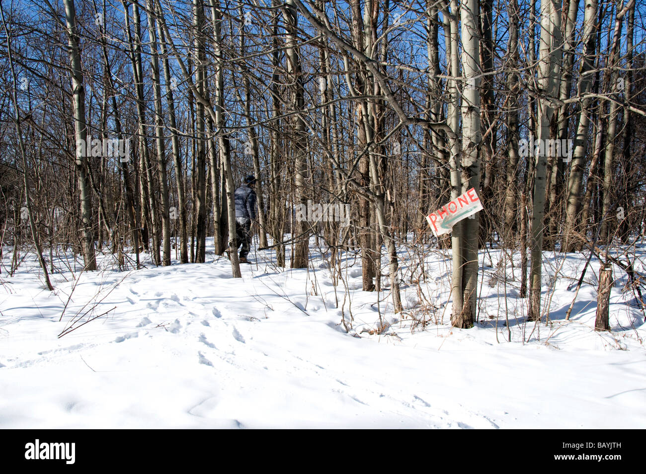 phone sign pointing into the trees with person walking into woods Stock ...