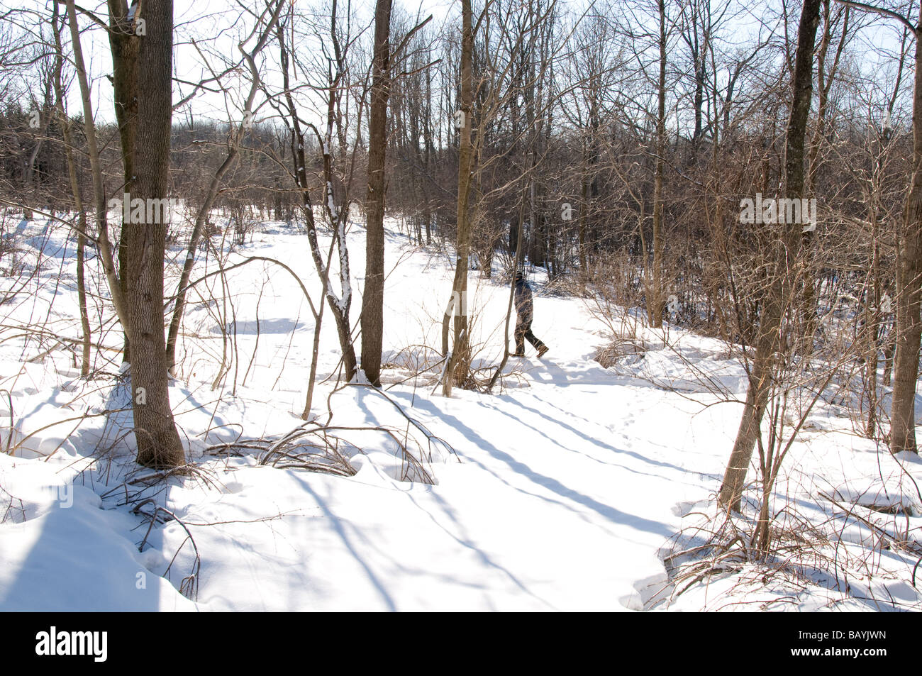 Spend walking hi-res stock photography and images - Alamy