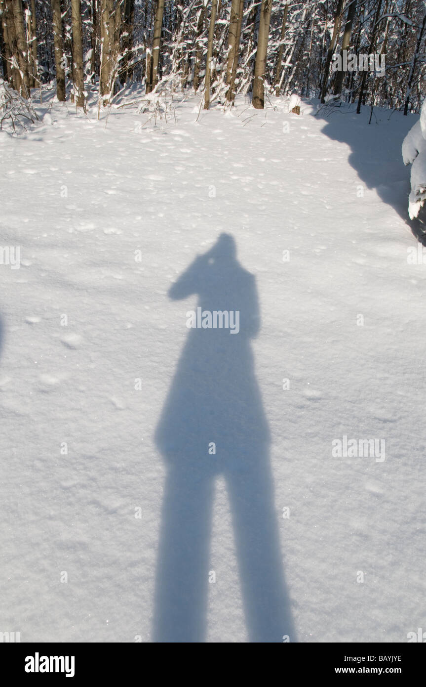 shadow of photographer in snow Stock Photo - Alamy