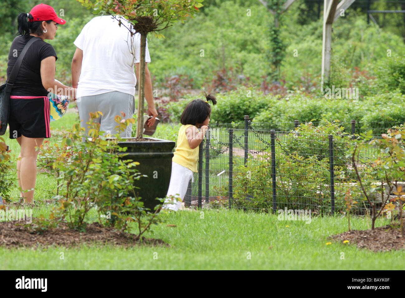 A young family with a young child in a formal rose garden in the park ...
