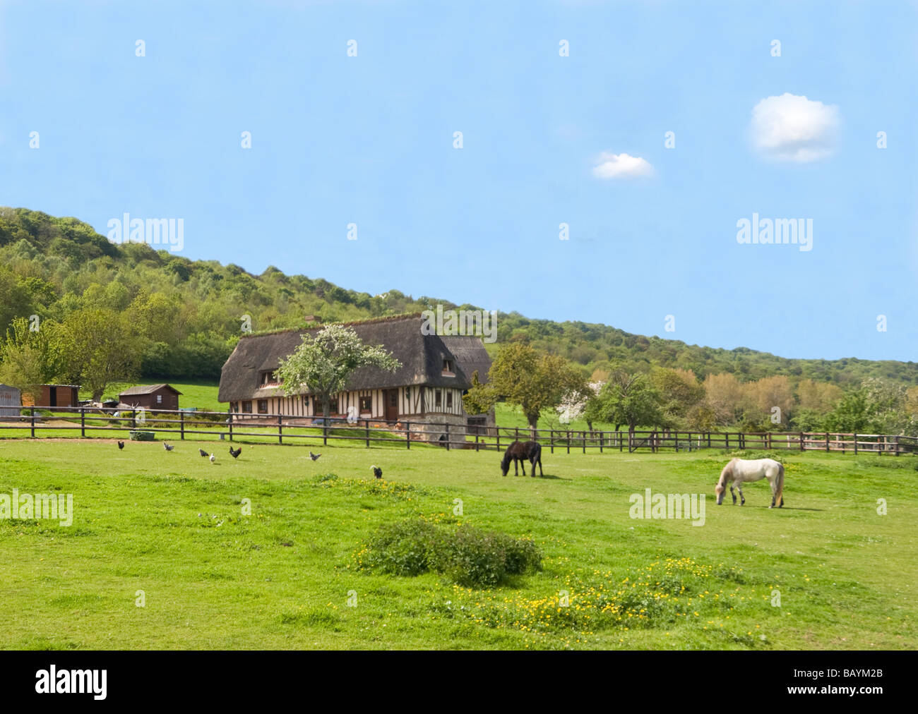 Normandy fields hi-res stock photography and images - Alamy