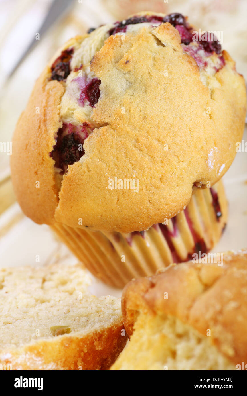freshly baked blueberry muffin ready to eat Stock Photo - Alamy