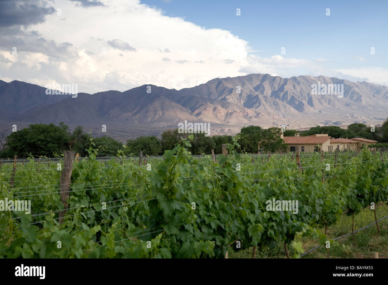 Estancia and Bodega Colome, Colome Valley, Argentina Stock Photo - Alamy