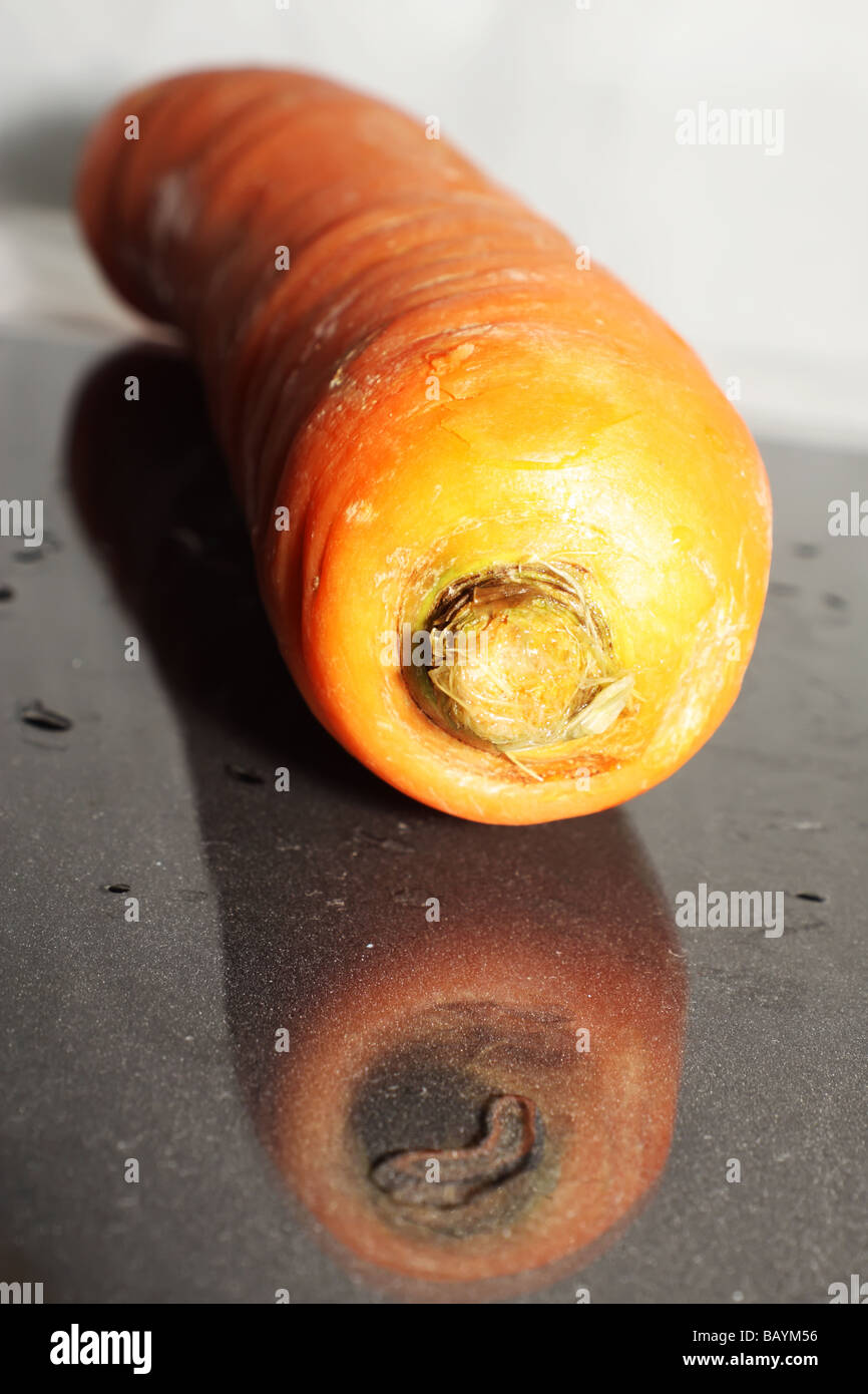 Big carrot hi-res stock photography and images - Alamy