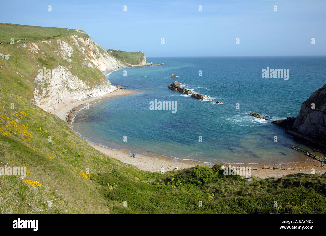 Limestone stumps chalk cliffs, Man o War Bay, Dorset, England Stock ...