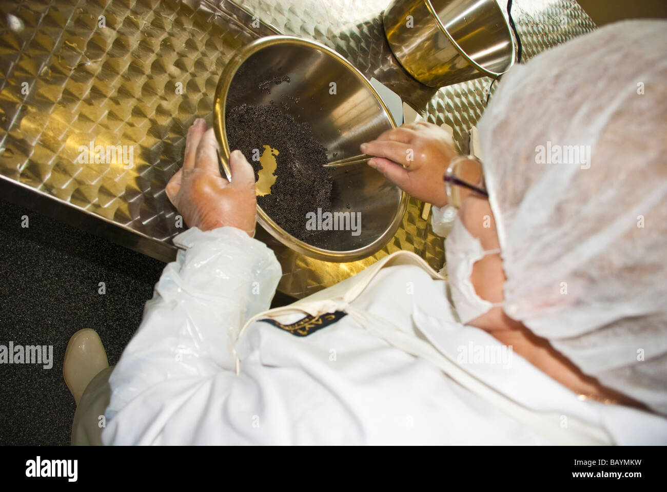 Caviar Production at sturgeon breeding farm Caviar Creator Demmin ...