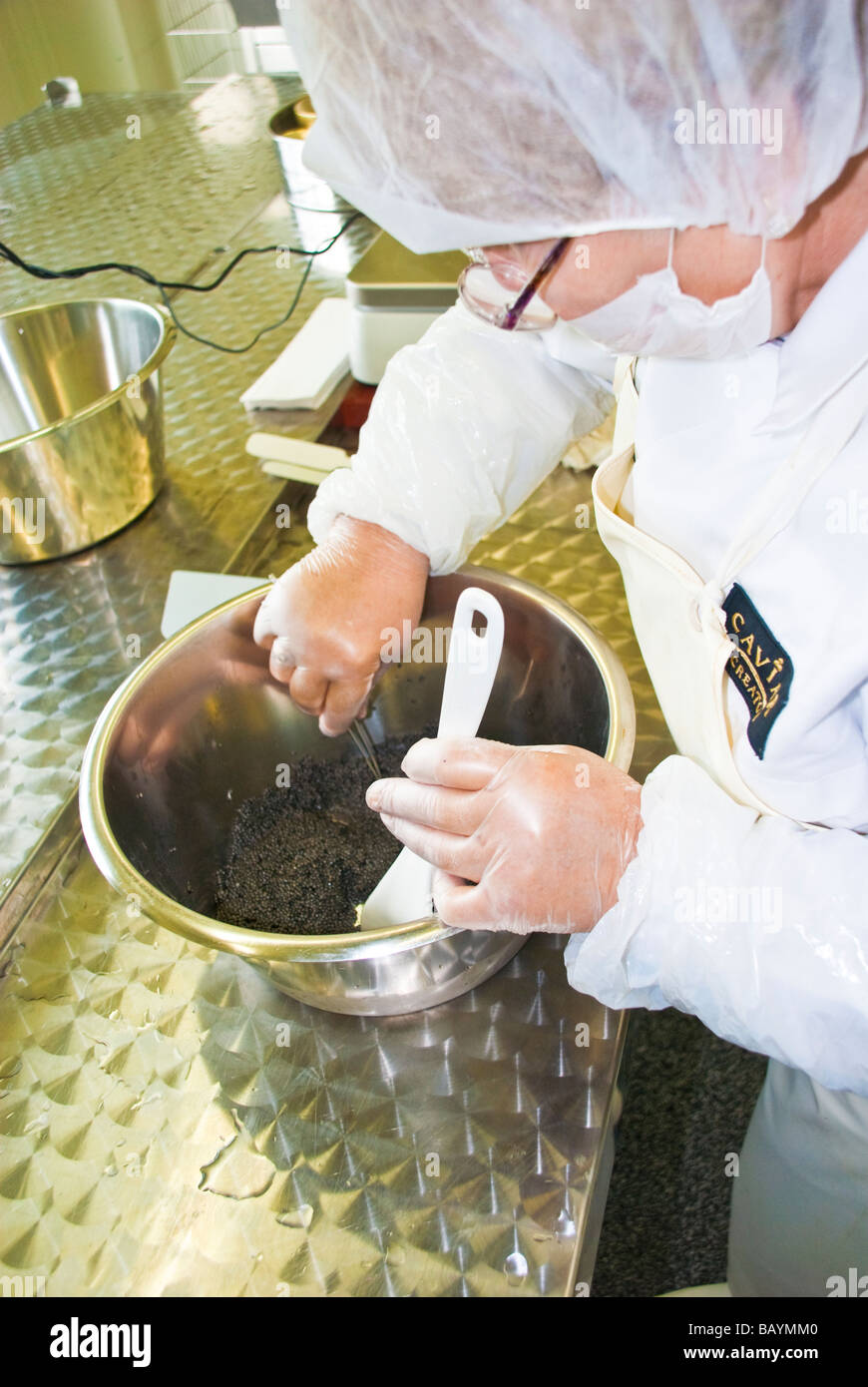 Caviar Production at sturgeon breeding farm Caviar Creator Demmin ...
