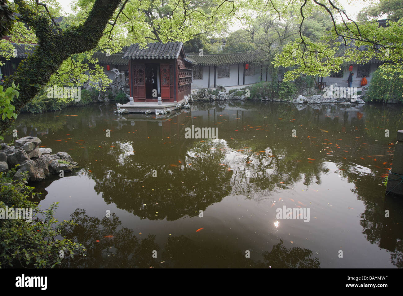 Koi Carp Chinese High Resolution Stock Photography and Images - Alamy