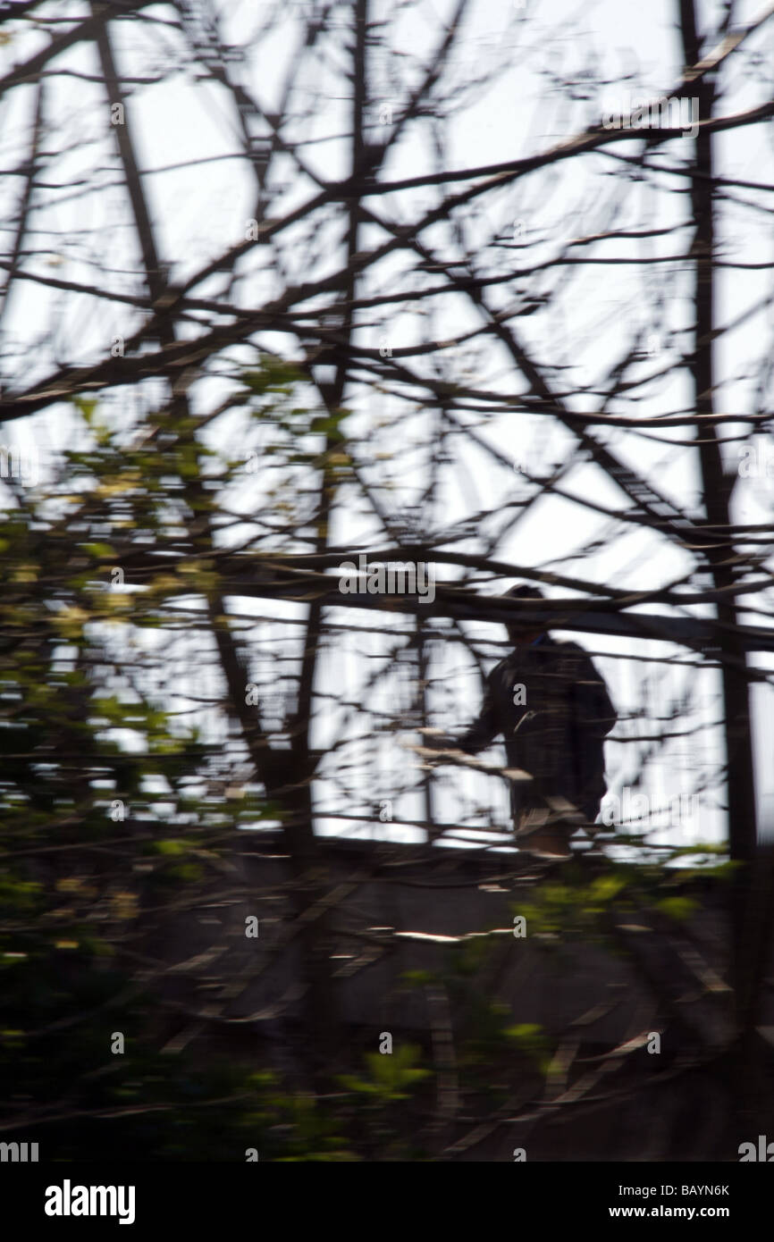 person walking along path in dark woods forest Stock Photo - Alamy
