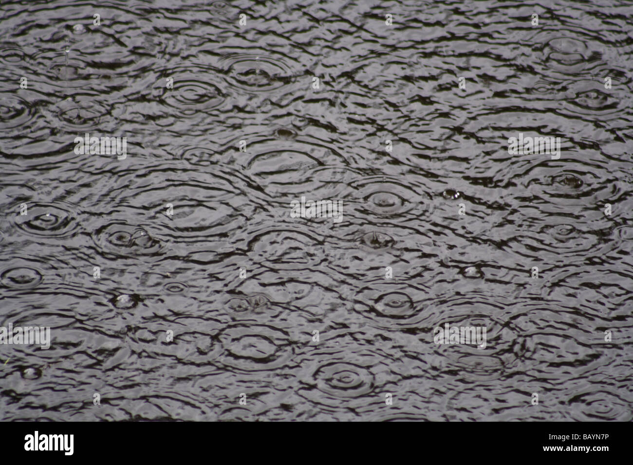 Rain on pond hi-res stock photography and images - Alamy