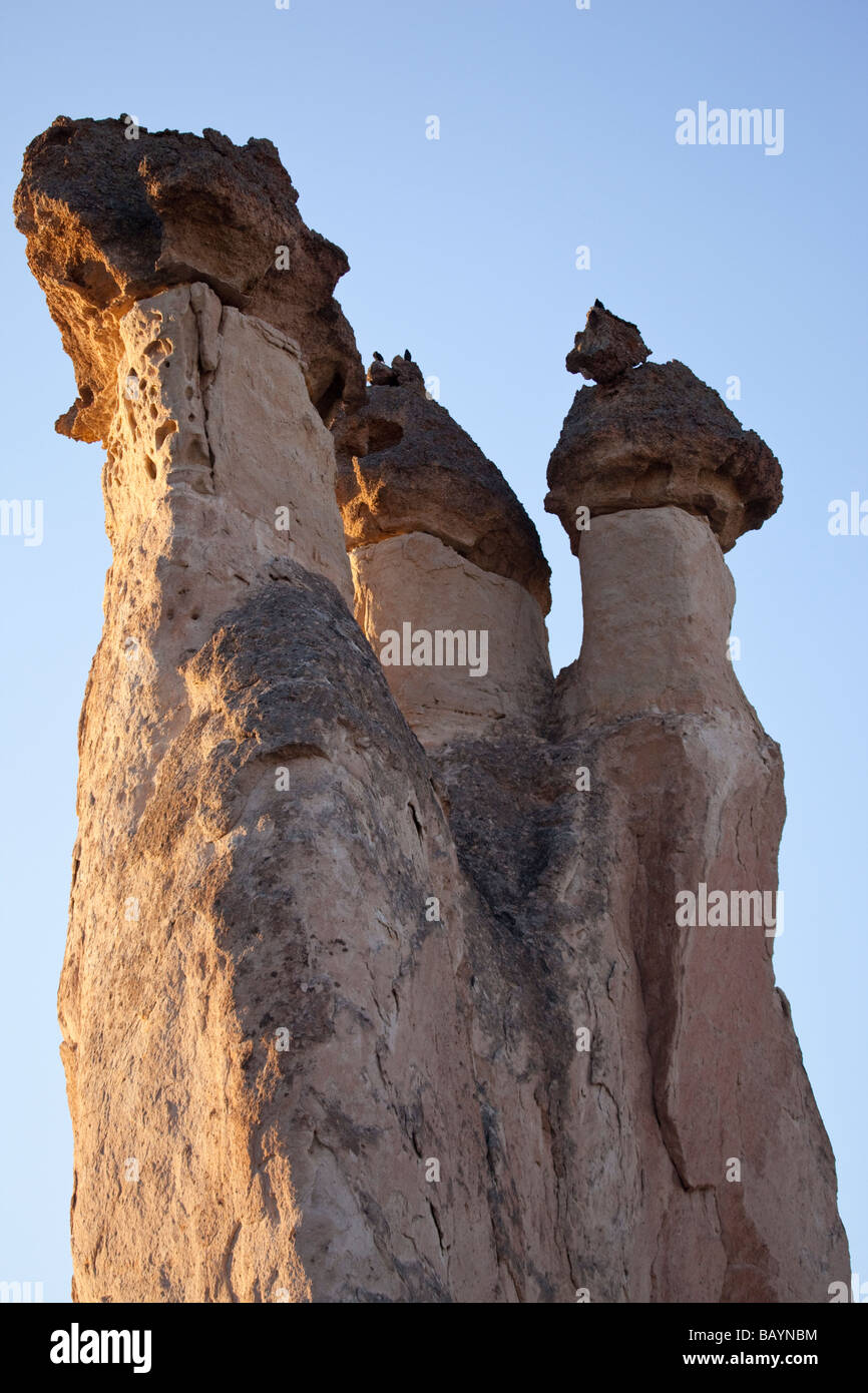 Natural rock formations called fairy chimneys in Cappadocia Turkey ...