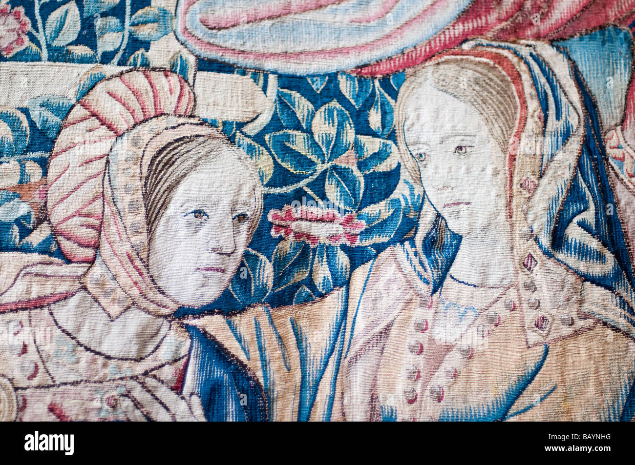 Tudor tapestry hi-res stock photography and images - Alamy