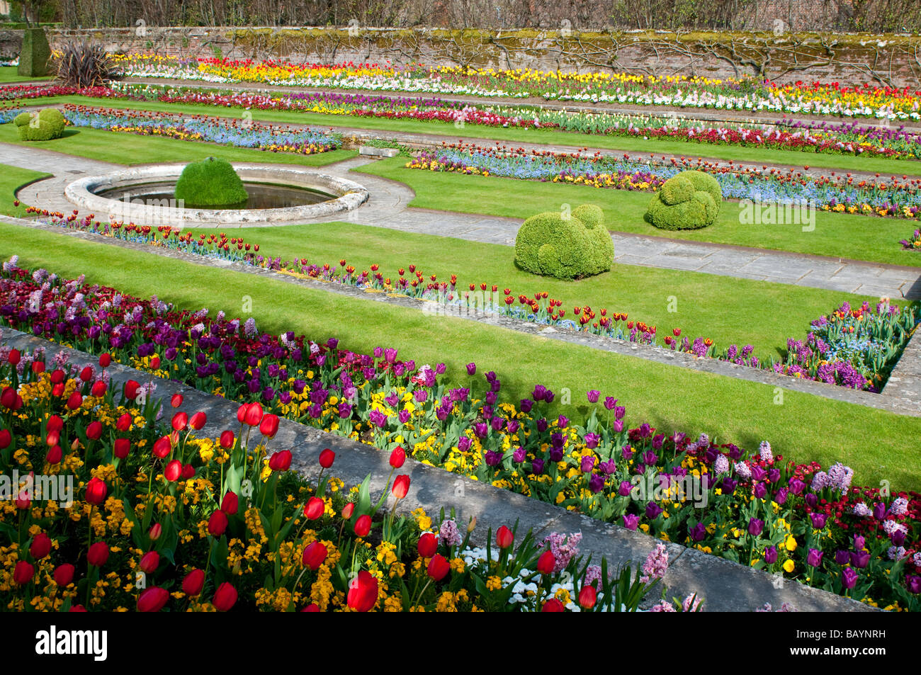 A garden recreated in the style of Henry VIII at Hampton Court Palace ...