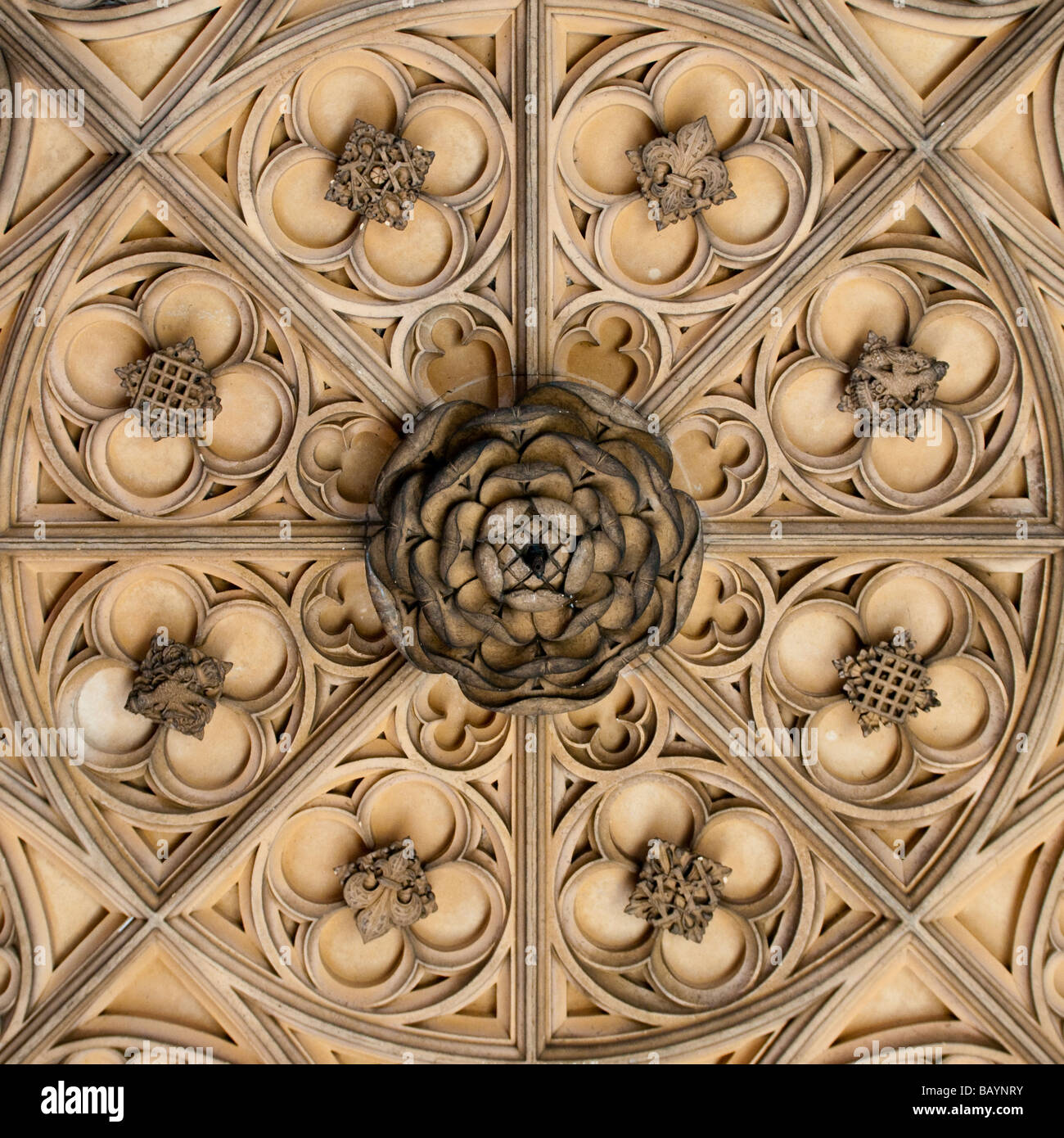 Detail of the Tudor rose ceiling relief at Hampton Court Palace Stock ...