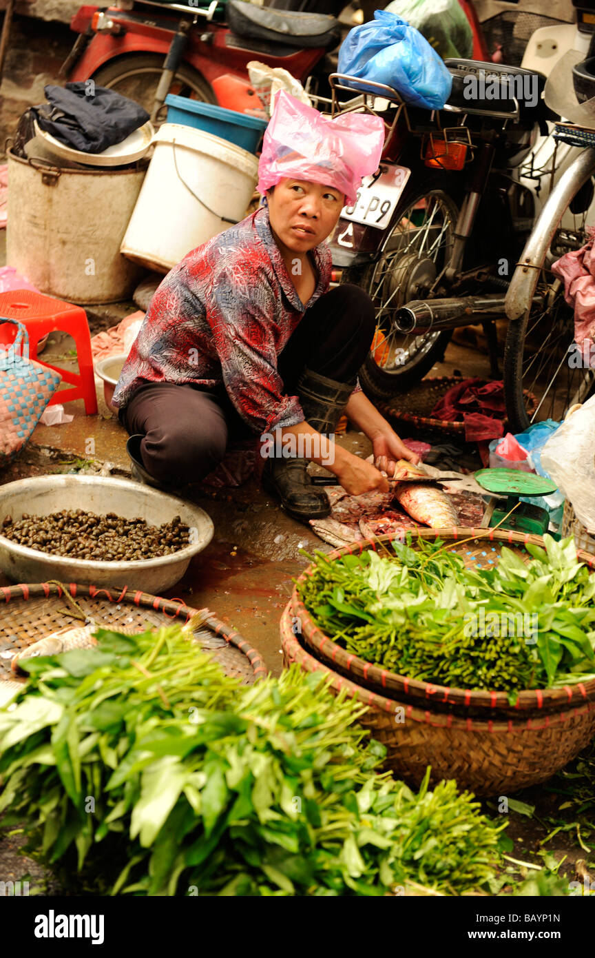 Fishwife is cleaning fish at fresh market in Hanoi, vietnam Stock Photo ...