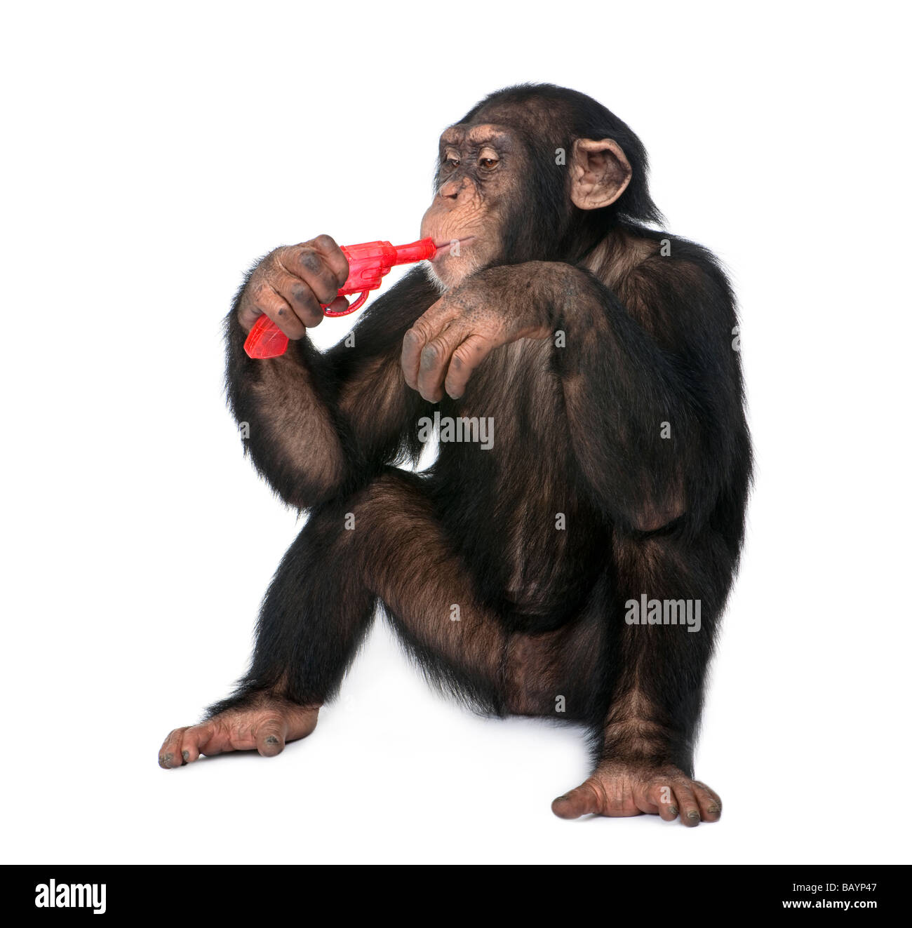 Profile of a monkey Cut Out Stock Images & Pictures - Alamy