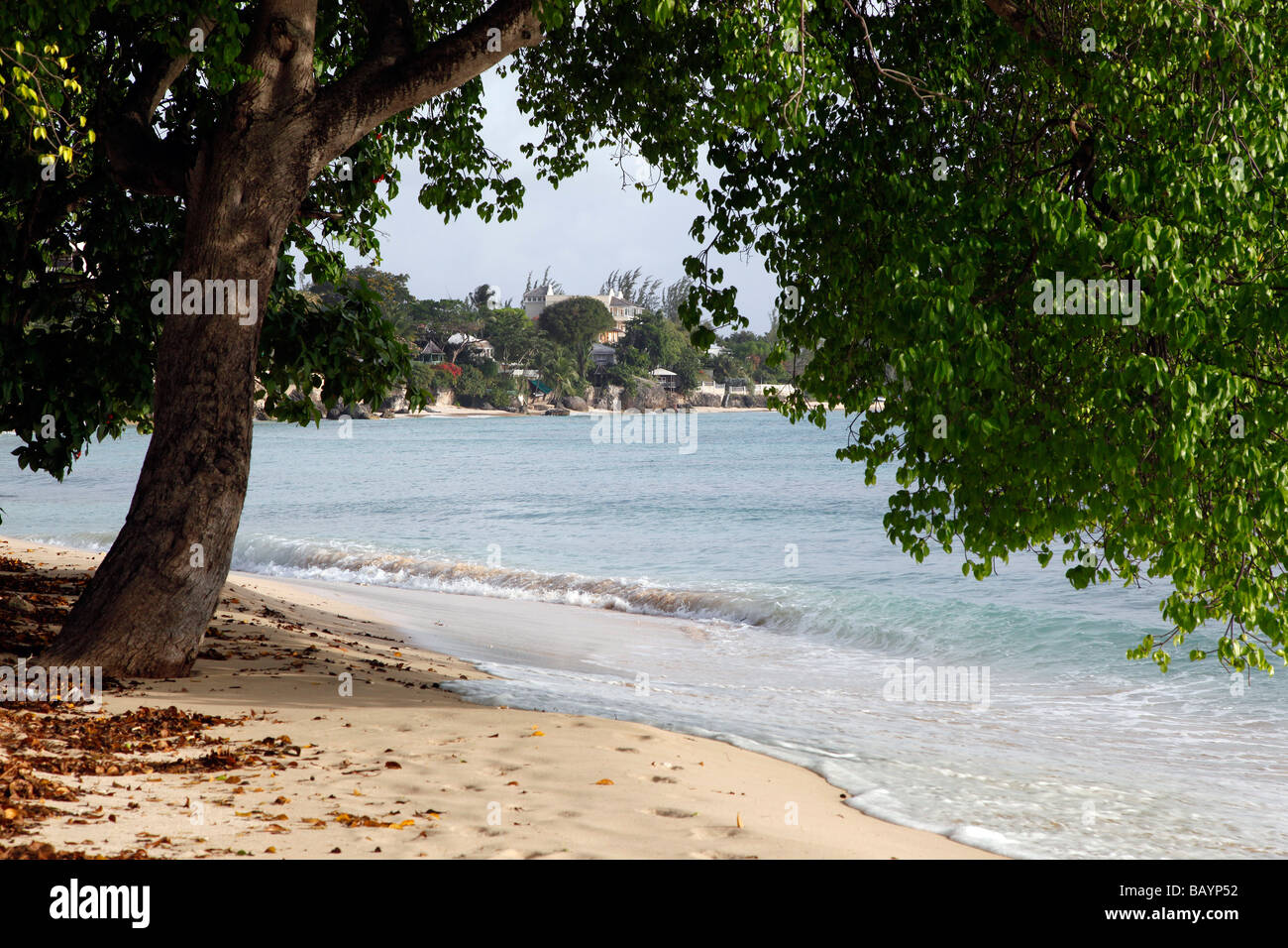Barbados St James Beach Stock Photo - Alamy