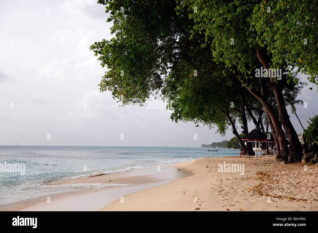 Barbados St James Beach Stock Photo - Alamy