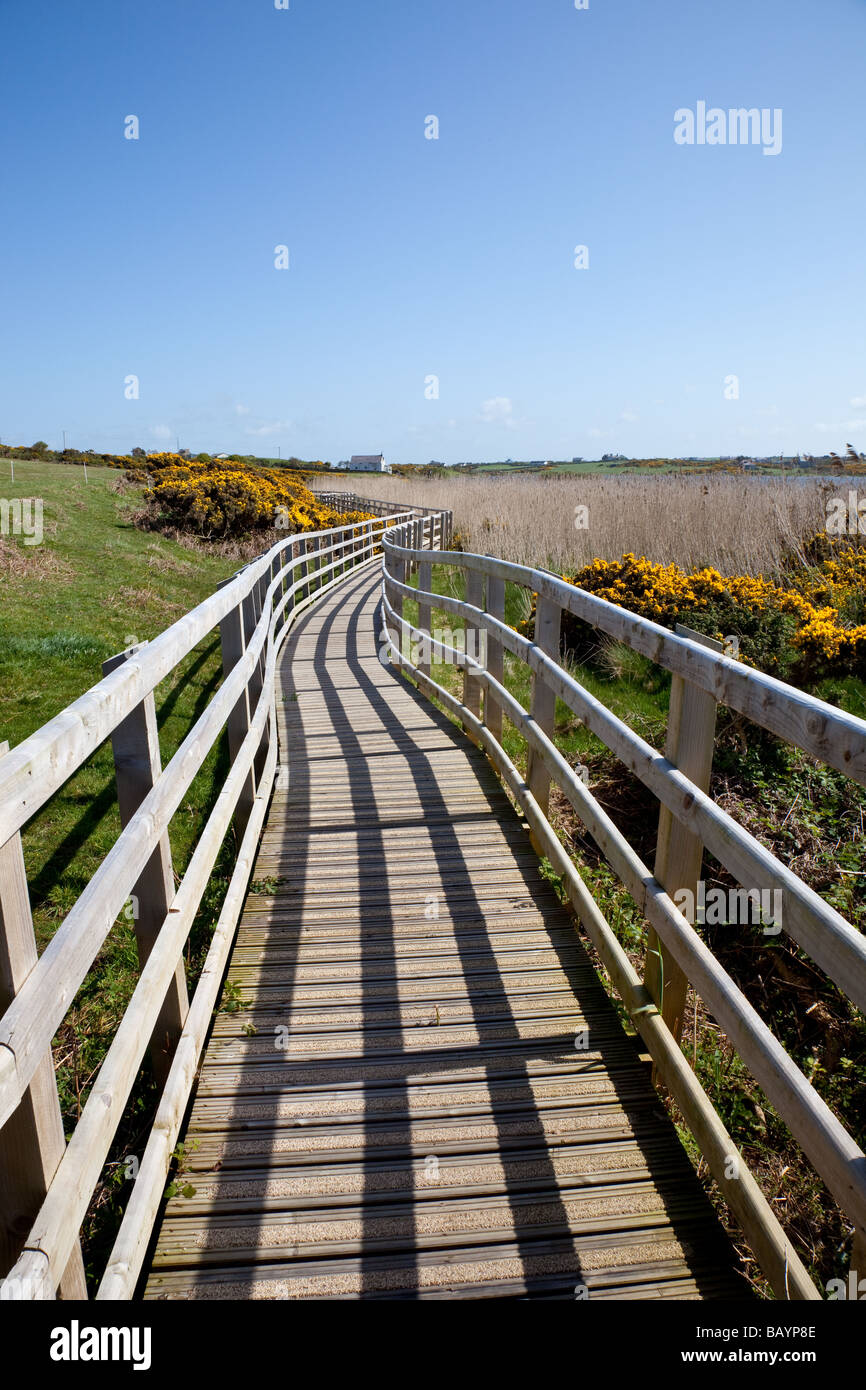 Maelog hi-res stock photography and images - Alamy