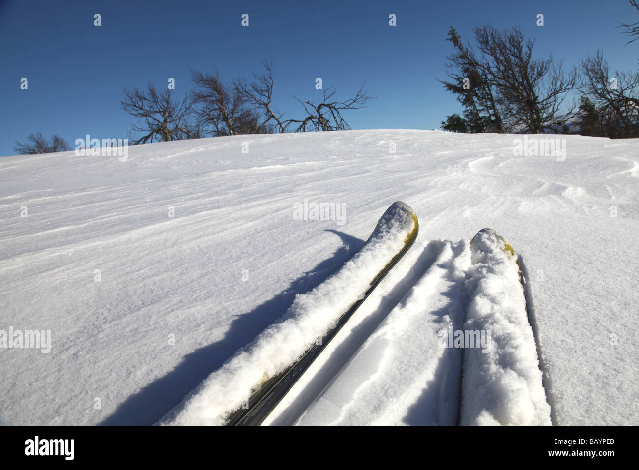 ski tip in piste Stock Photo - Alamy