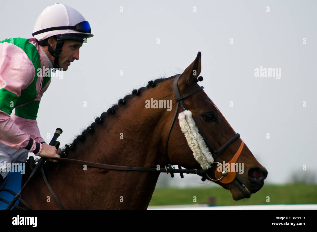 Horse and jockey canter to the start at Beverley races, East Yorkshire ...