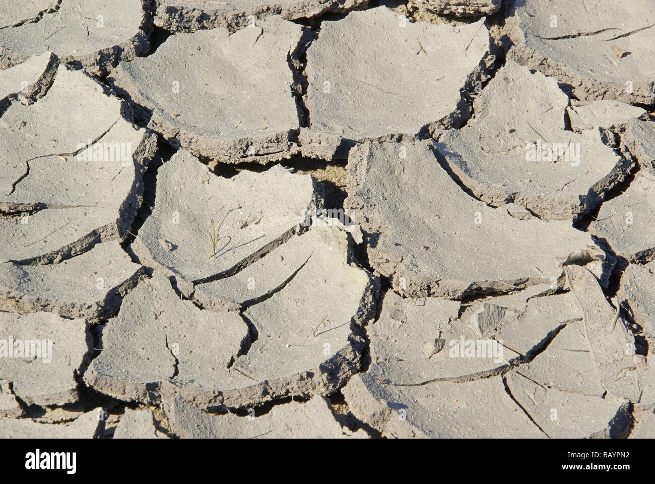 Ausgetrockneter Boden dried out ground 04 Stock Photo - Alamy