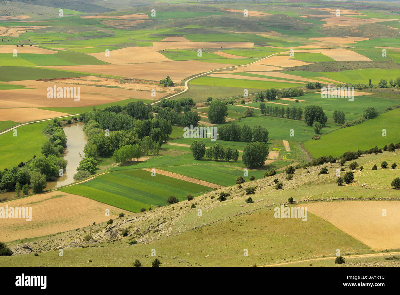 Gormaz Feld Gormaz field 04 Stock Photo - Alamy