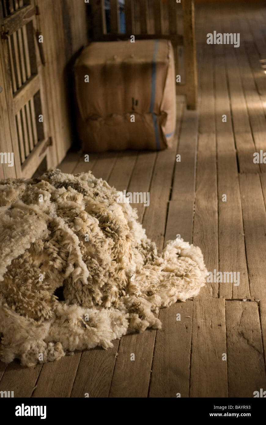 wool fleece and bale Stock Photo - Alamy