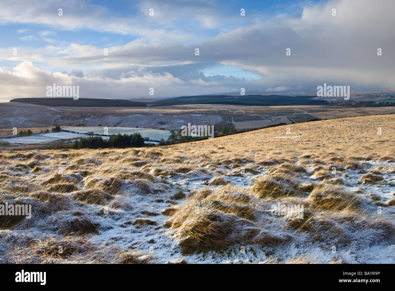 Snow dusted landscape near Chagford Common Dartmoor National Park Devon ...