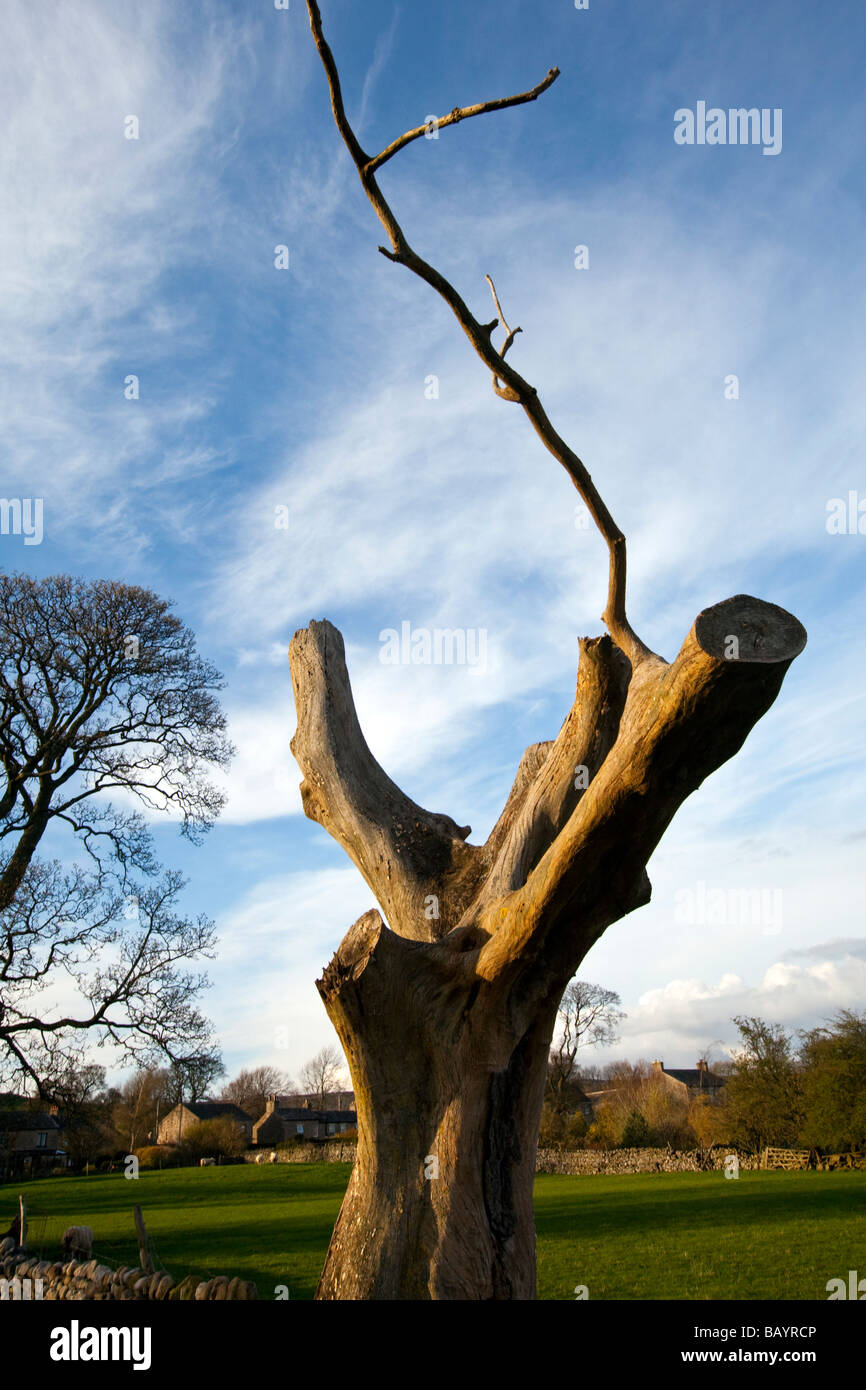 A dramatic morning sky overlooks the drystone walls of Carperby ...