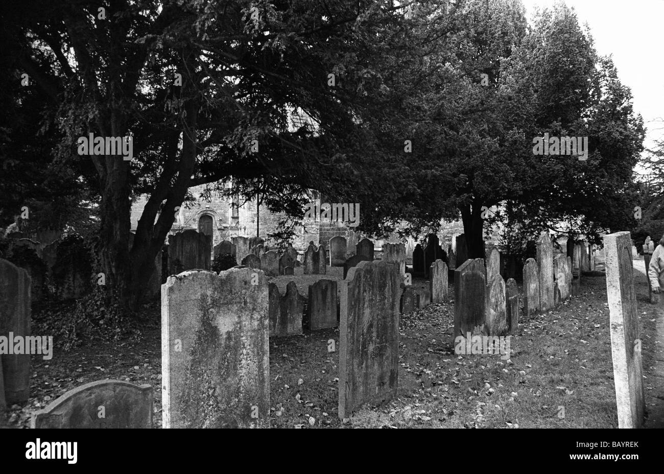 Maidstone Kent Trees Black and White Stock Photos & Images - Alamy