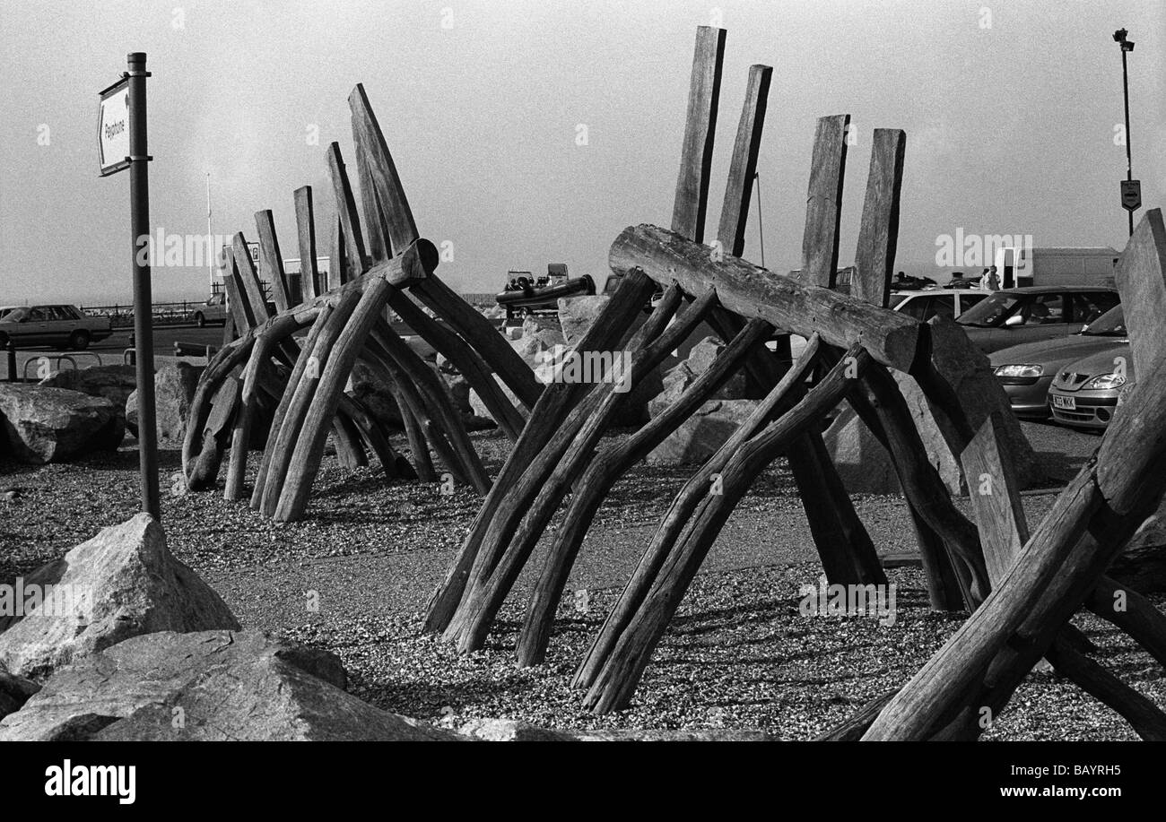 Insects highlights Black and White Stock Photos & Images - Alamy