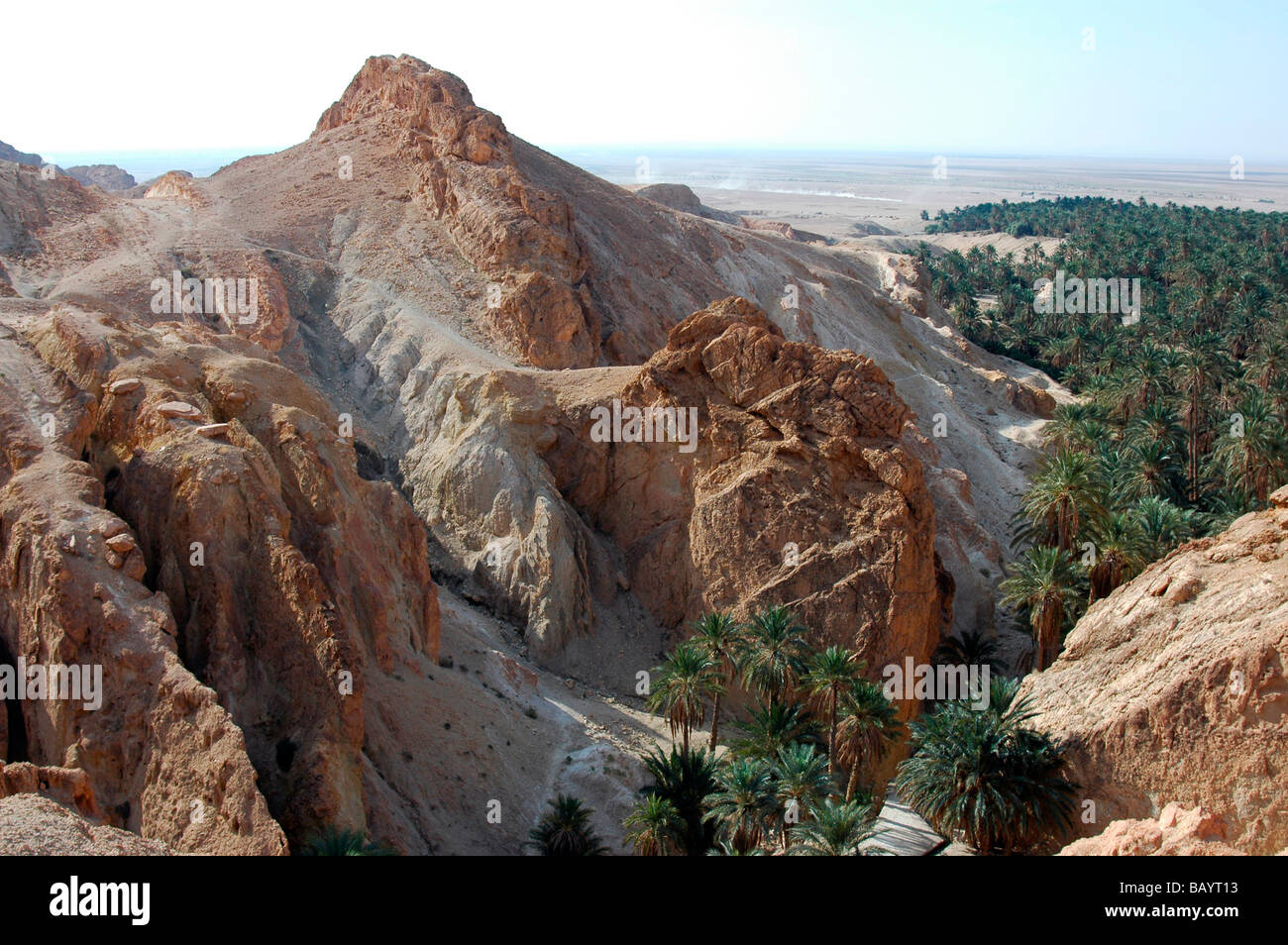 Tunis landscape , Africa. spring Stock Photo - Alamy
