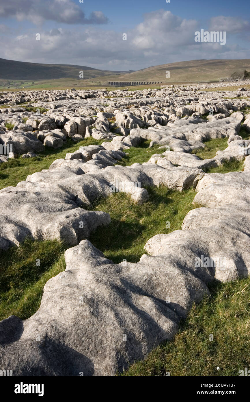 Limestone pavement in the Yorkshire Dales National Park, North ...