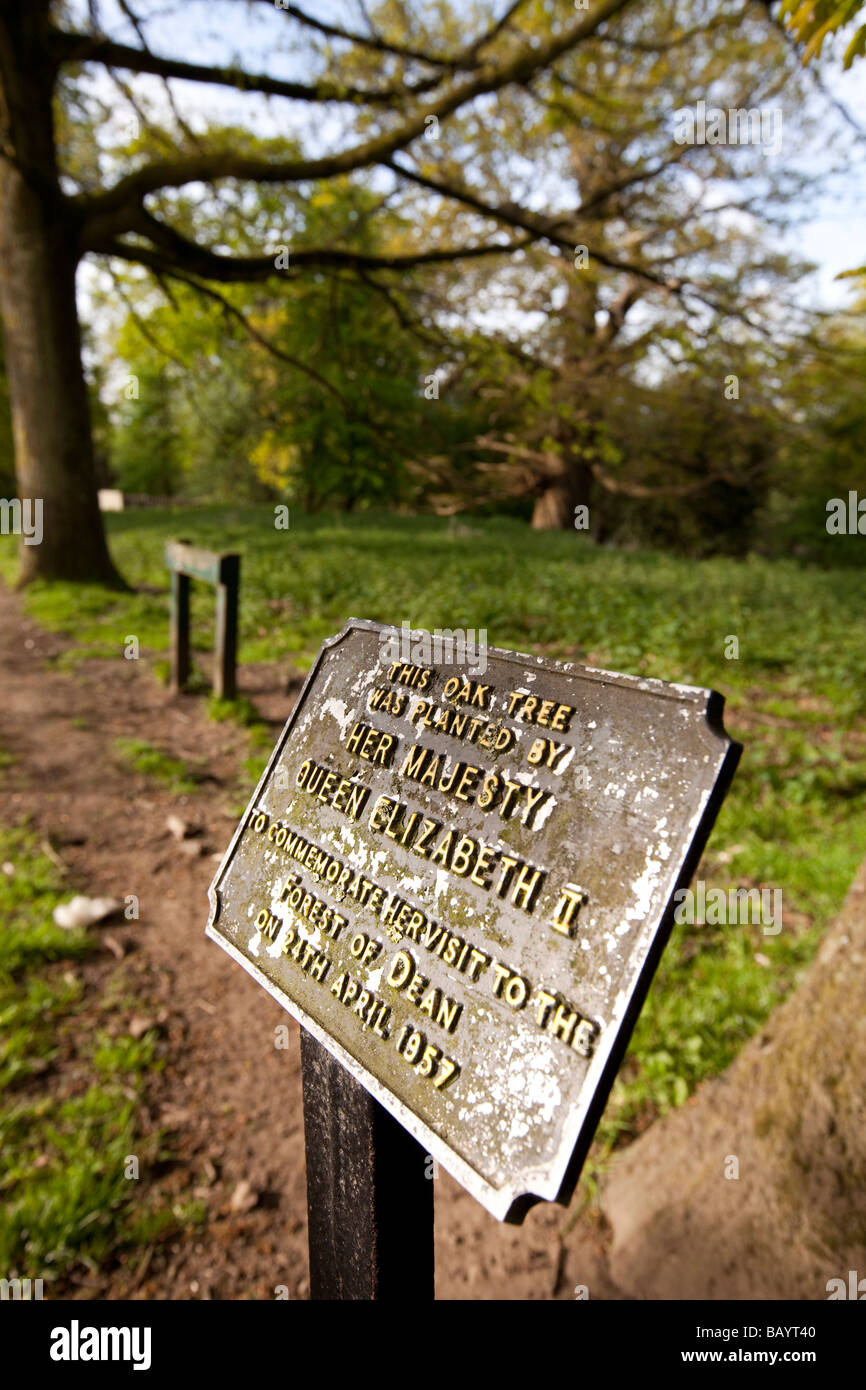 UK Gloucestershire Forest of Dean Speech House plaque marking Oak tree ...