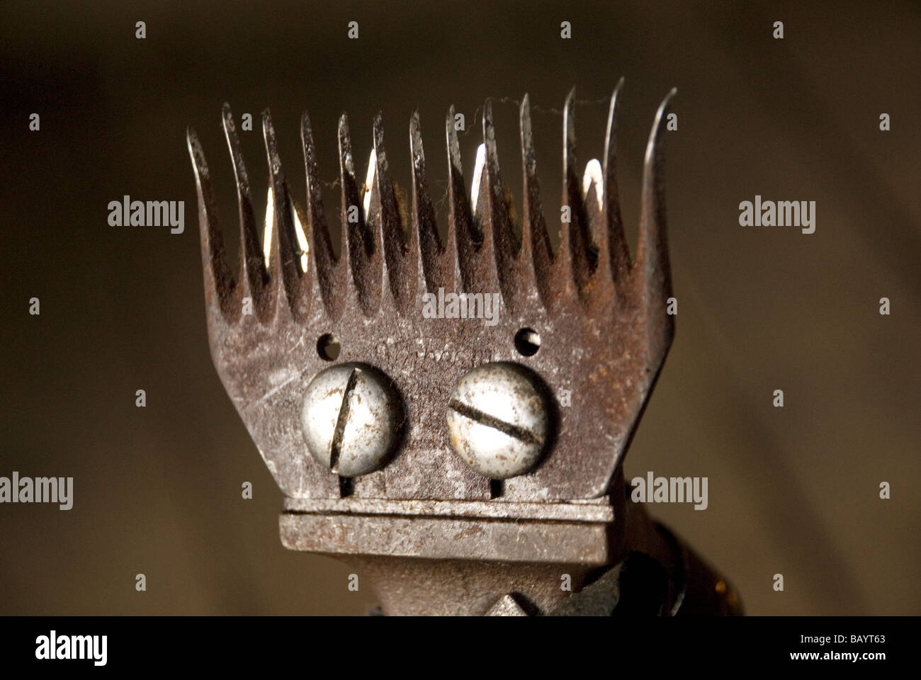 Wide blade shears Stock Photo - Alamy